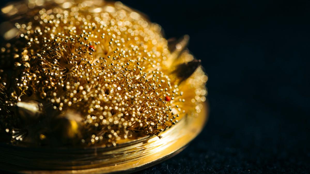 Artist Aman Poddar’s intricate sculptural jewellery is inspired by Nature and structure - The Hindu